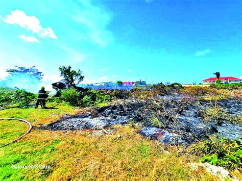 Fire Service Contains Rapid Grass Fire At Ug Road Guyana Times