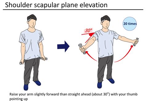 Hip External Rotator Group Training Hip Joint 45° Physio Visuals