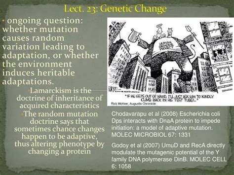 PPT Lect 23 Genetic Change PowerPoint Presentation Free Download ID 4383804