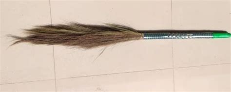 Grass Soft Broom Phool Jhadu At Rs 45piece In Indore Id 27260323591