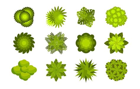 Architechture Tree Plan Element Set 8104308 Vector Art At Vecteezy