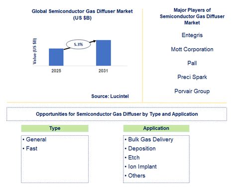 Semiconductor Gas Diffuser Market Report Trends Forecast And