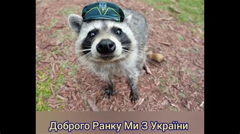 Доброго Ранку Ми З України Youtube
