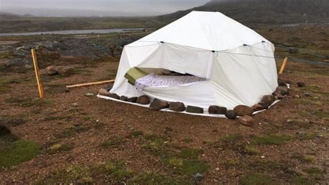 Polar Bear Rips 6 Tents Pitched In Iqaluit Park Cbc News