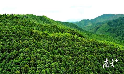 韶关大力推进自然保护地自然资源统一确权登记浈江区面积生态