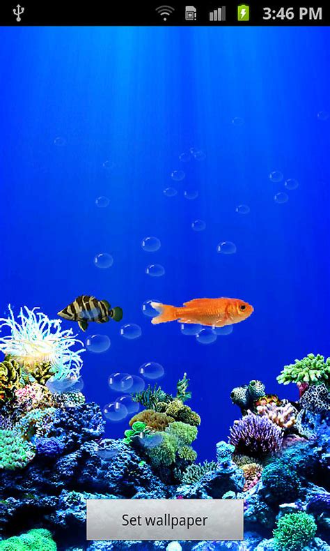 🔥 Download Wallpaper Phone Pare Heavy Aquarium Live By Egreen Free