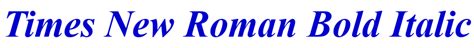 Use La Fuente Times New Roman Bold Italic En