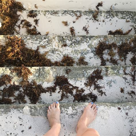 Ariane Rineharts Feet