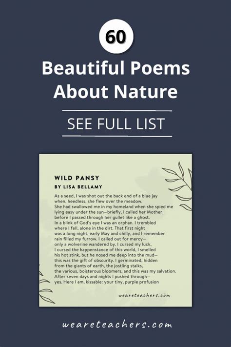 Beautiful Nature Poetry