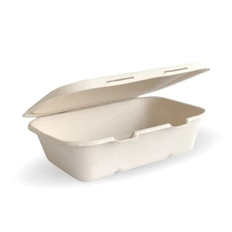 Biopak 20x15x5cm 75x5x19in Natural Plant Fibre Clamshell B Hl 75 N