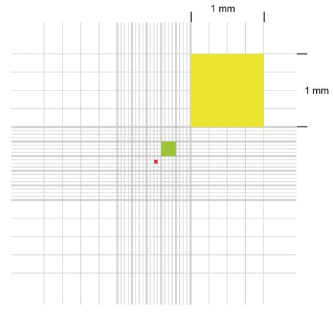 Biol 2321l 8 Hemocytometer Diagram Quizlet