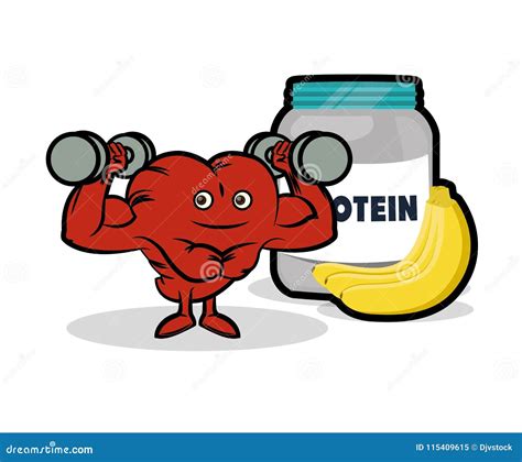 Heart Protein Stock Illustrations 3823 Heart Protein Stock