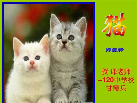 郑振铎猫课件 随意云