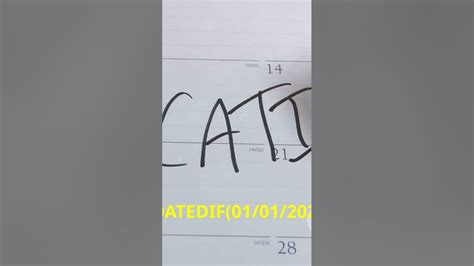 What Are Excels Date And Dateif Functionsshortvideo Shorts