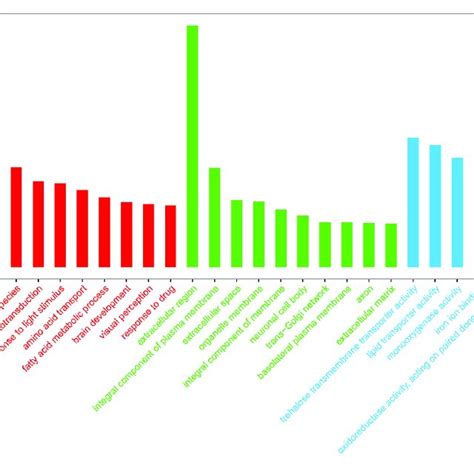 Gene Ontology Go Top 30 Terms Enriched By Differentially Expressed