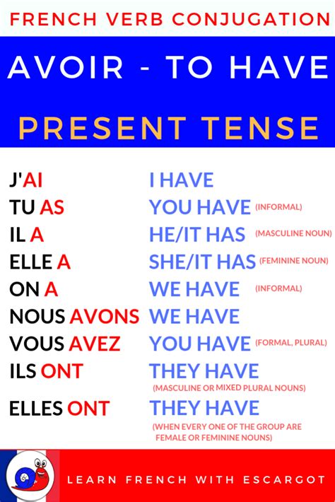 French Verb Conjugation Avoir To Have Present Tense Exercise Artofit