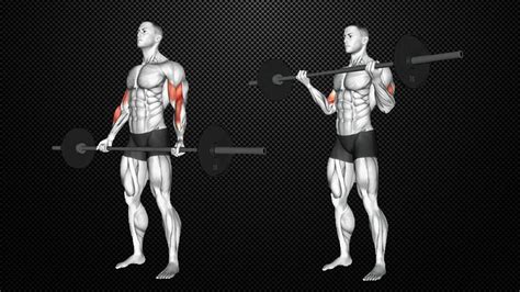 Spider Curls Bracing Upper Body Against An Incline Bench