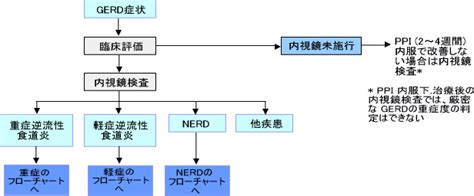 胃食道逆流症