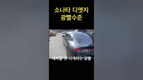 소나타 디엣지 1 6 금방 출고한 것 같은 편안함 현대 소나타 소나타디엣지 바이오필릭블루펄 장기렌트 세치 광빨