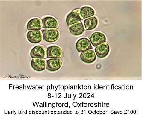 Ingo Schüder On Linkedin Freshwater Phytoplankton Identification