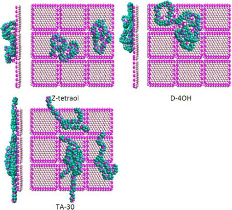 Top And Side Views Of Molecular Conformation Download Scientific Diagram