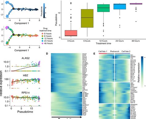 High Dimensional Data Visualization