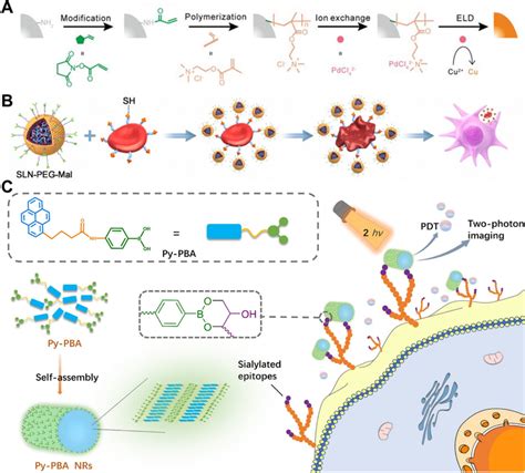 Methods Based On Chemical Covalent Modification A Schematic Download Scientific Diagram