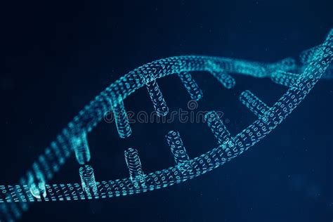 Molécula De La DNA De Digitaces Estructura Genoma Humano Del Código