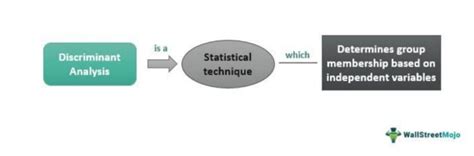 Discriminant Analysis Meaning Assumptions Types Application