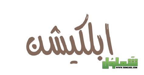 معنى كلمة ابلكيشن بالعربي شملول