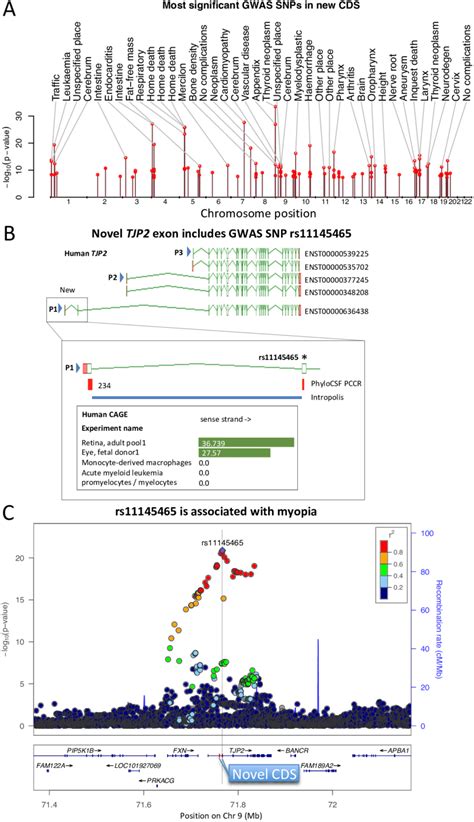 Protein Altering Disease Variants A Chromosomal Positions And