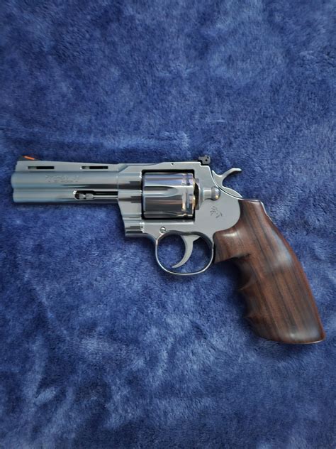 New Blued Pythontalk Me Out Of It 24hourcampfire