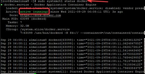 How To Install And Use Docker On AlmaLinux 8 VITUX