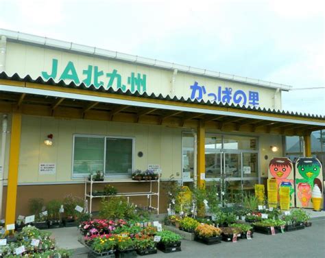 かっぱの里九州への旅行や観光情報は九州旅ネット