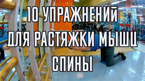 10 Упражнений для Растяжки Спины и Позвоночника Youtube