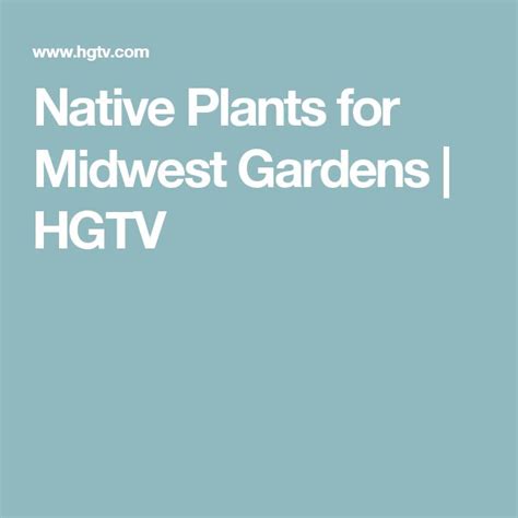 Native Plants For Midwest Gardens Hgtv Native Plants Plants Plant