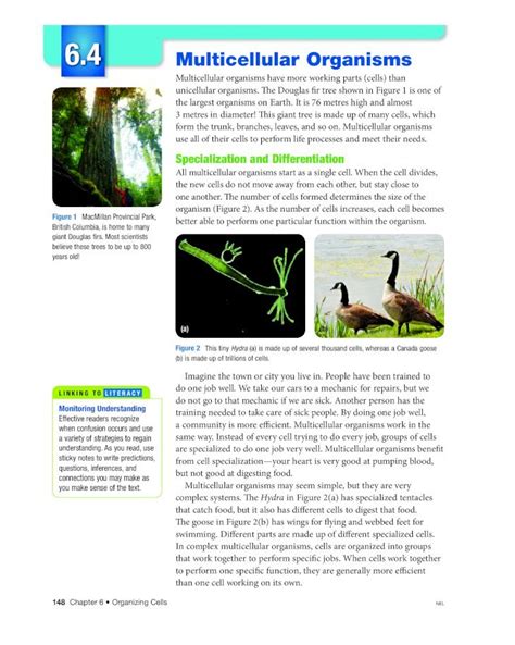 Pdf 6 4 Multicellular Organisms