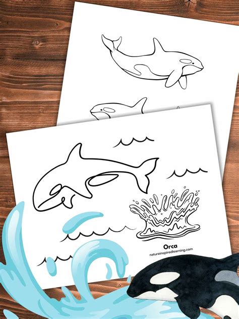 Printable Orca Whale