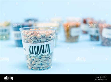 Genetically Modified Crop Regulation The Legal And Ethical