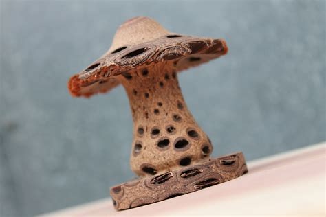 Wood Mushroom Primitive Fall Decor Shelf Ornament Sculpture T For