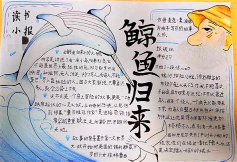 手抄报鲸鱼模板简单又漂亮又好看（汇总20张）手抄报图片大全