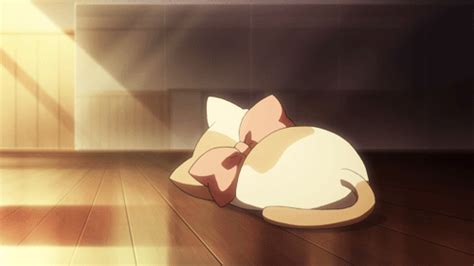 Glad Anime Katt  Joyeux Anniversaire Gratis Geanimeerde 