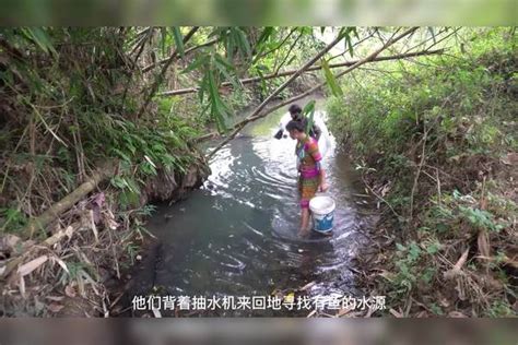 为了给孩子们凑学费，夫妻花重金买抽水机抓鱼，赌一把抽水机重金夫妻