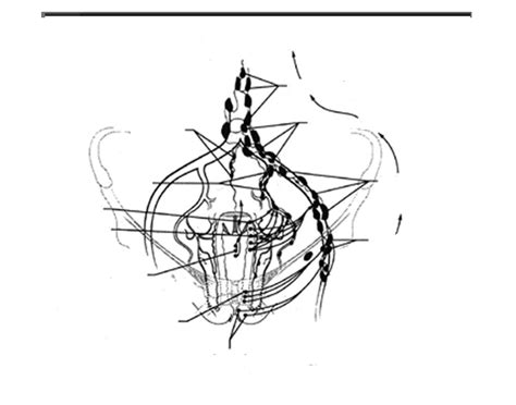 Cervical Nodes Quiz