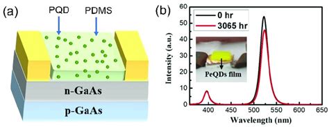 A Schematic Diagram Of The Single Junction GaAs Solar Cell Utilized