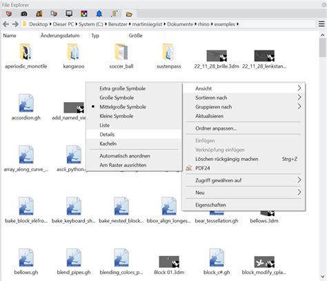 Rhino Panel File Explorer Default View Serengeti Rhino WIP McNeel
