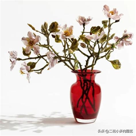 她花了20年辦了一個假「花」展，不僅沒被舉報，還登上了時裝周 每日頭條