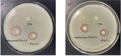Experiment On Bacteriostatic Zone Of Different Kinds Of Thin Films A
