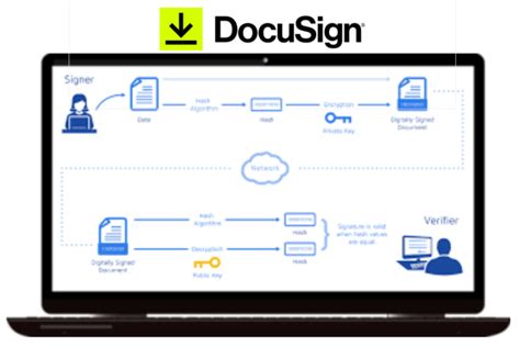 Create Professional Docusign And Powerforms Document For 20 Freelancer Taha Naseer Tahanaseer