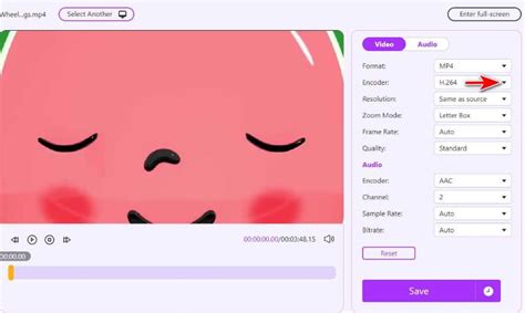 A Detailed Guide To Convert H 265 To H 264 Without Losing Quality